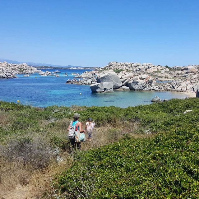 Iles Lavezzi : Bateau (tarif), navette, excursion, carte Iles Lavezzi