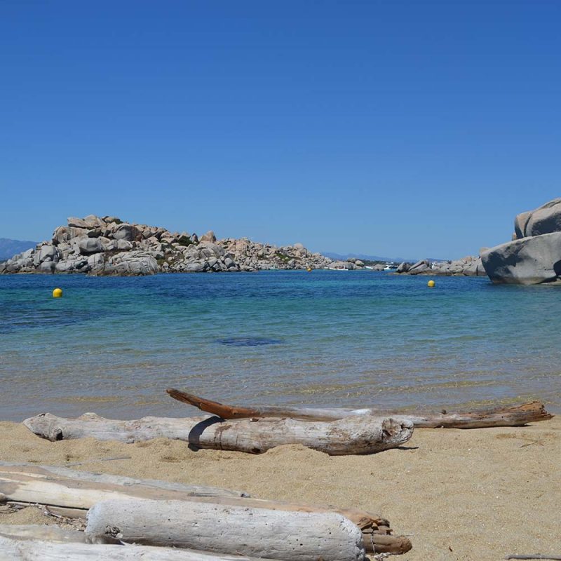 Iles Lavezzi : Bateau (tarif), navette, excursion, carte Iles Lavezzi