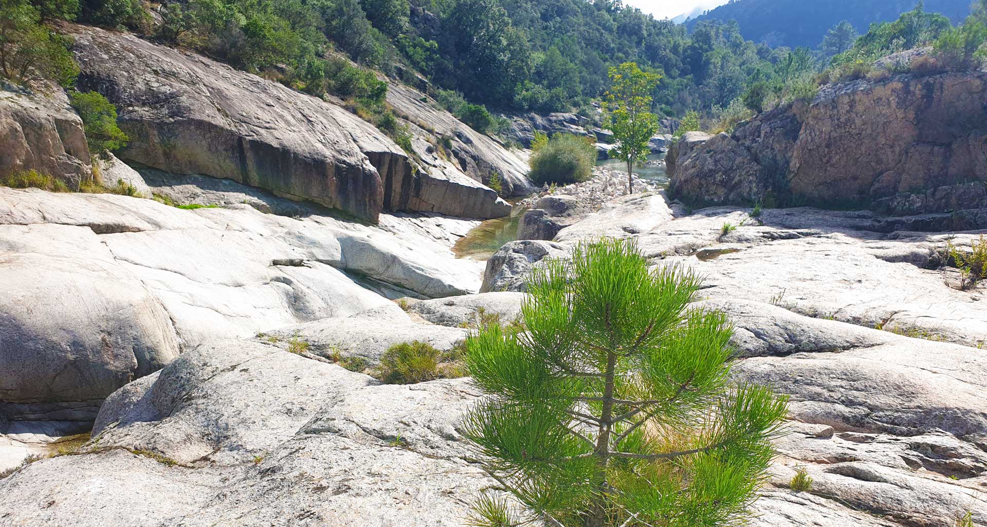 Piscines naturelles de Cavu : randonnée, restaurant, accrobranche ...