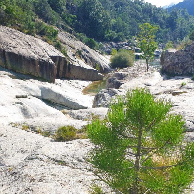 Piscines naturelles de Cavu : randonnée, restaurant, accrobranche ...